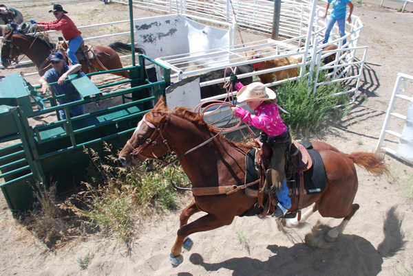 Young steer ropers show off their skills | SteamboatToday.com
